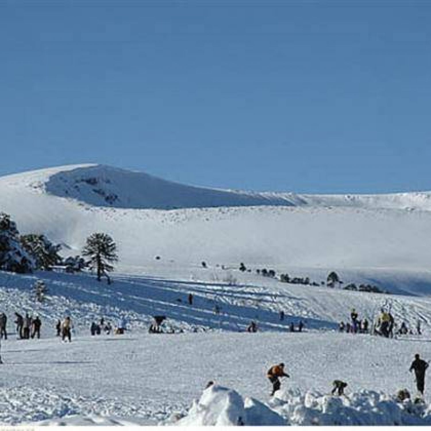Nieve y nuevos precios en Villa Pehuenia y Batea Mahuida