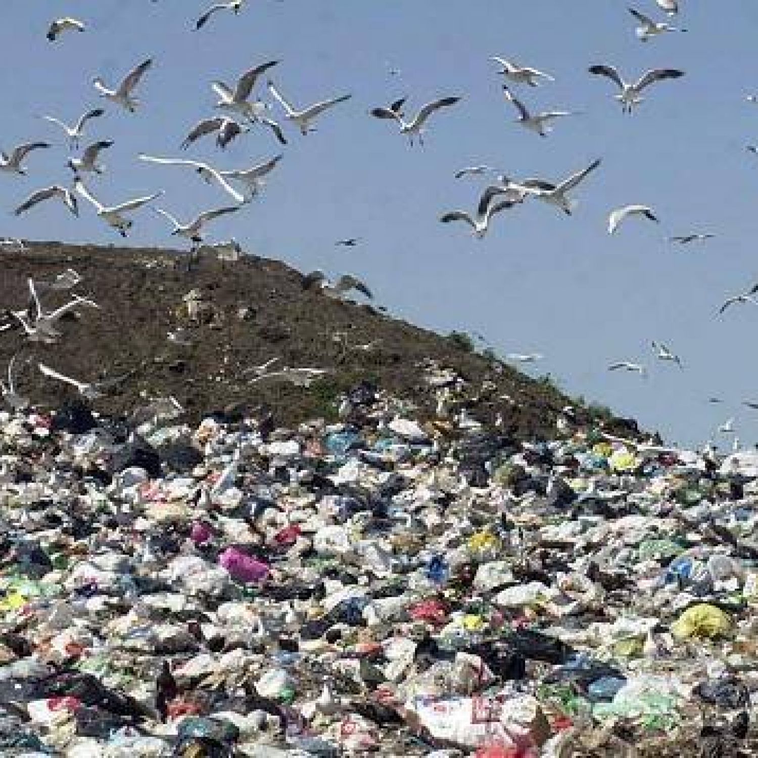 CEAMSE: Habrá cuatro rellenos en el GBA y no se depositará más basura ...