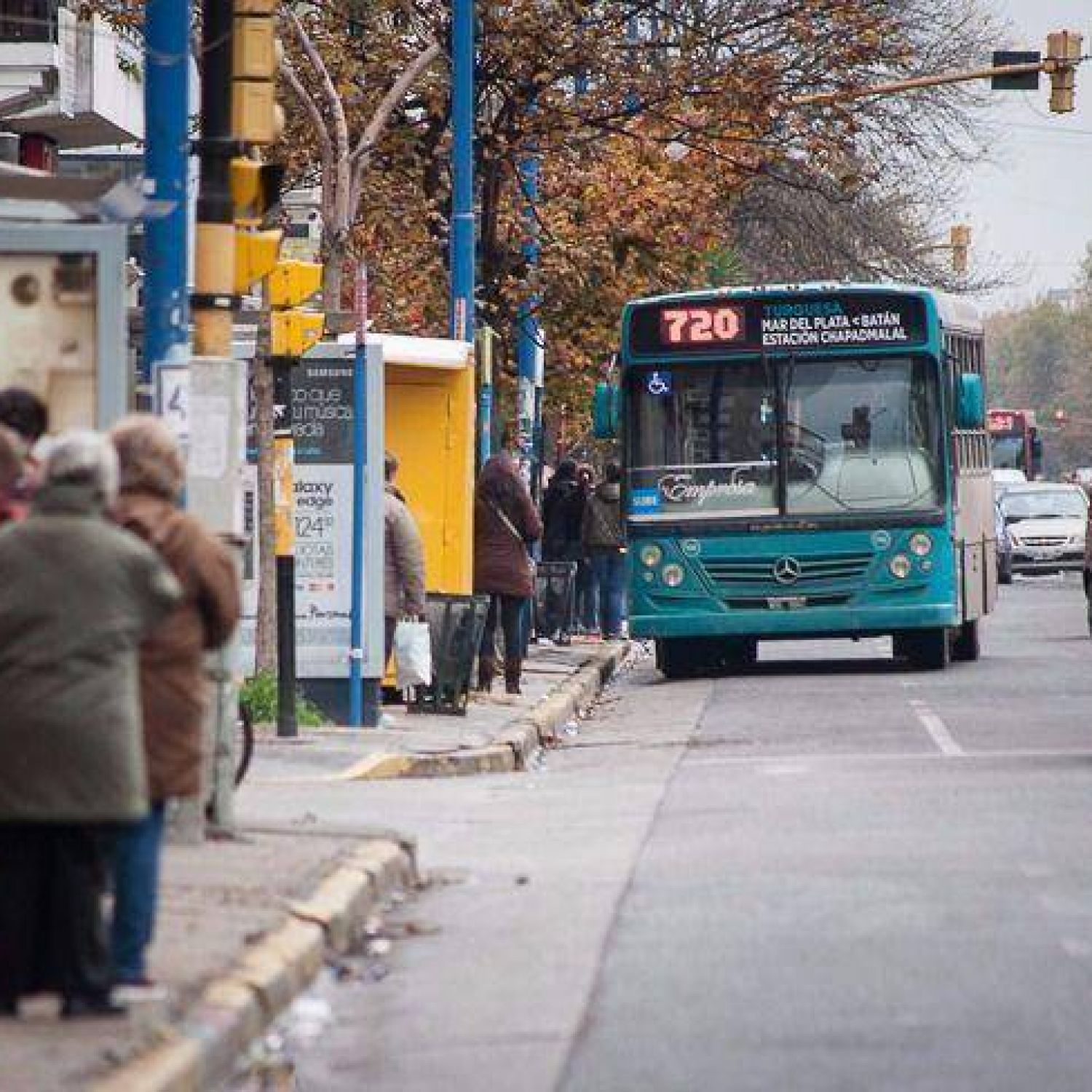 Líneas troncales y transbordos, el plan del municipio para el ...