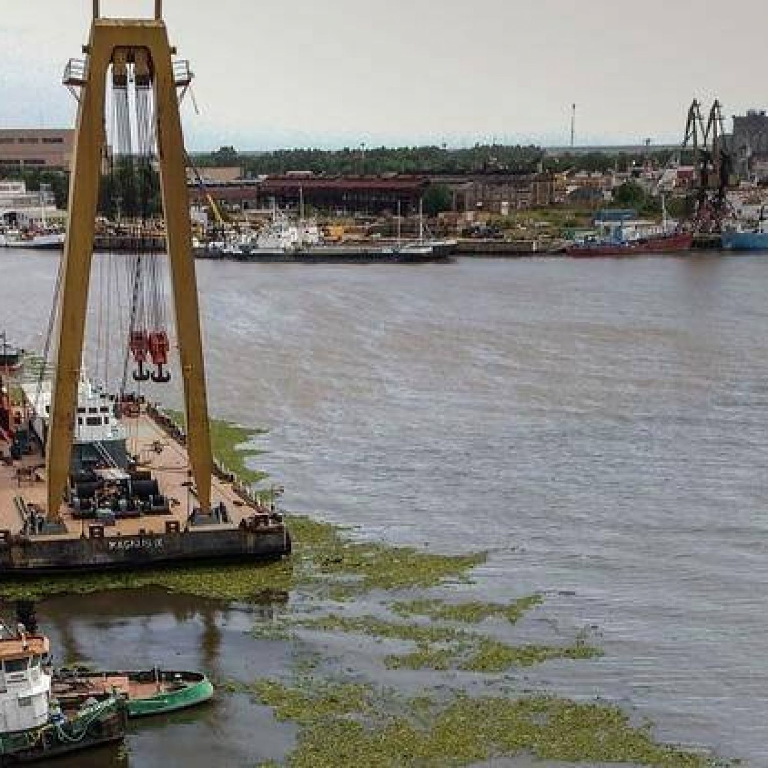 El Riachuelo, la contaminación imparable y más de 5 millones de ...