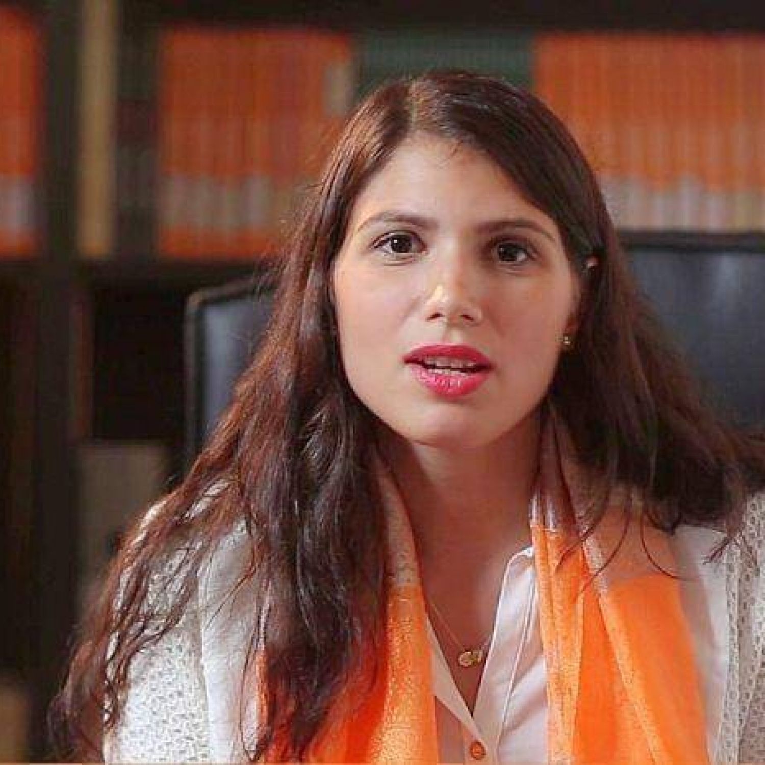 Gabriela Russo: "Al frente de la AFIP no debería estar un ingeniero ...