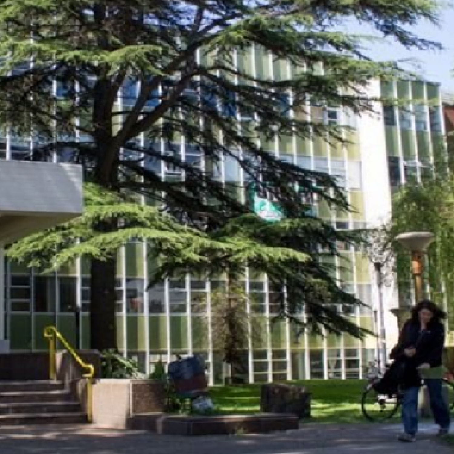 La UNMDP abrirá la inscripción para el 2021