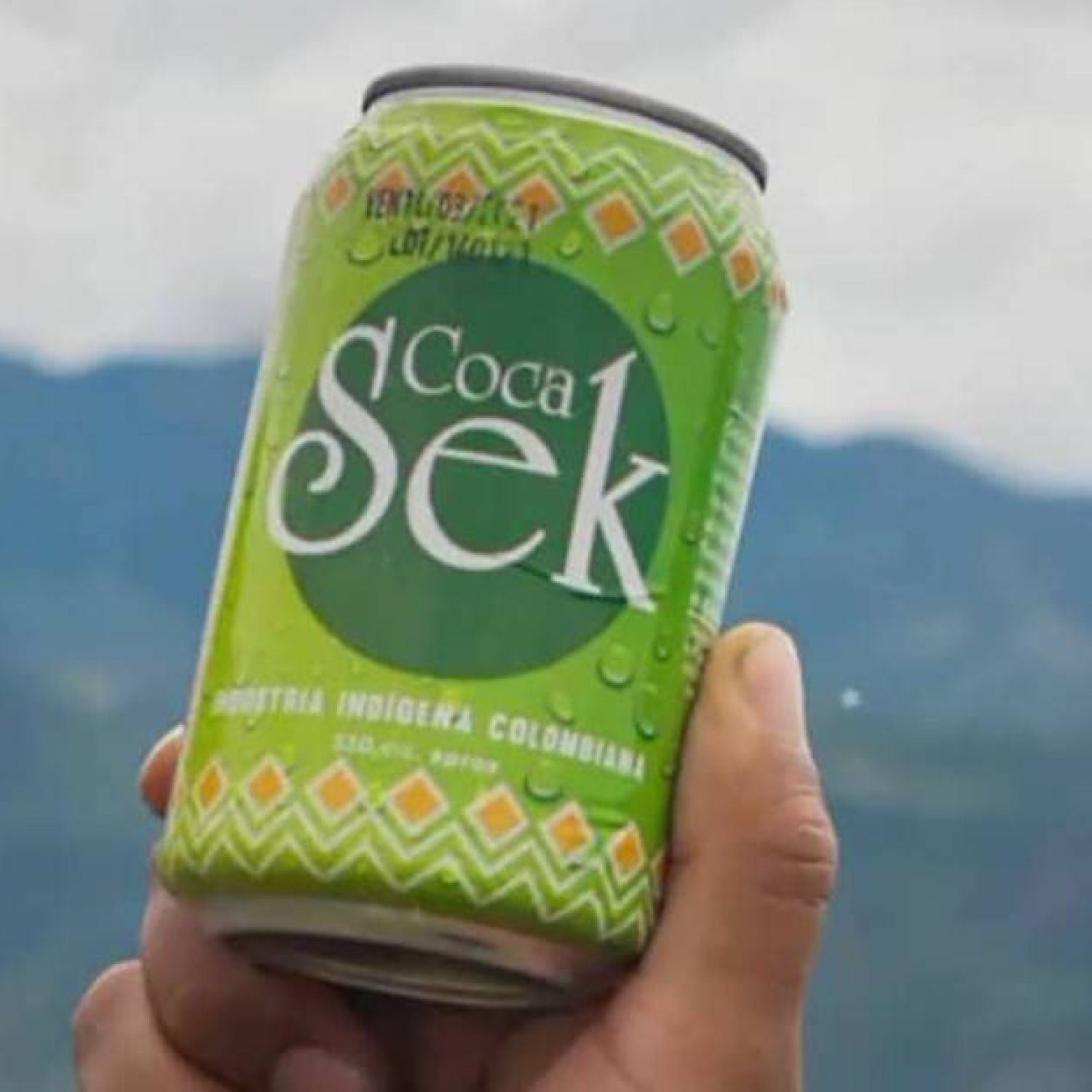 Un ultimátum a Coca-Cola: dos pueblos indígenas de Colombia demandan a ...