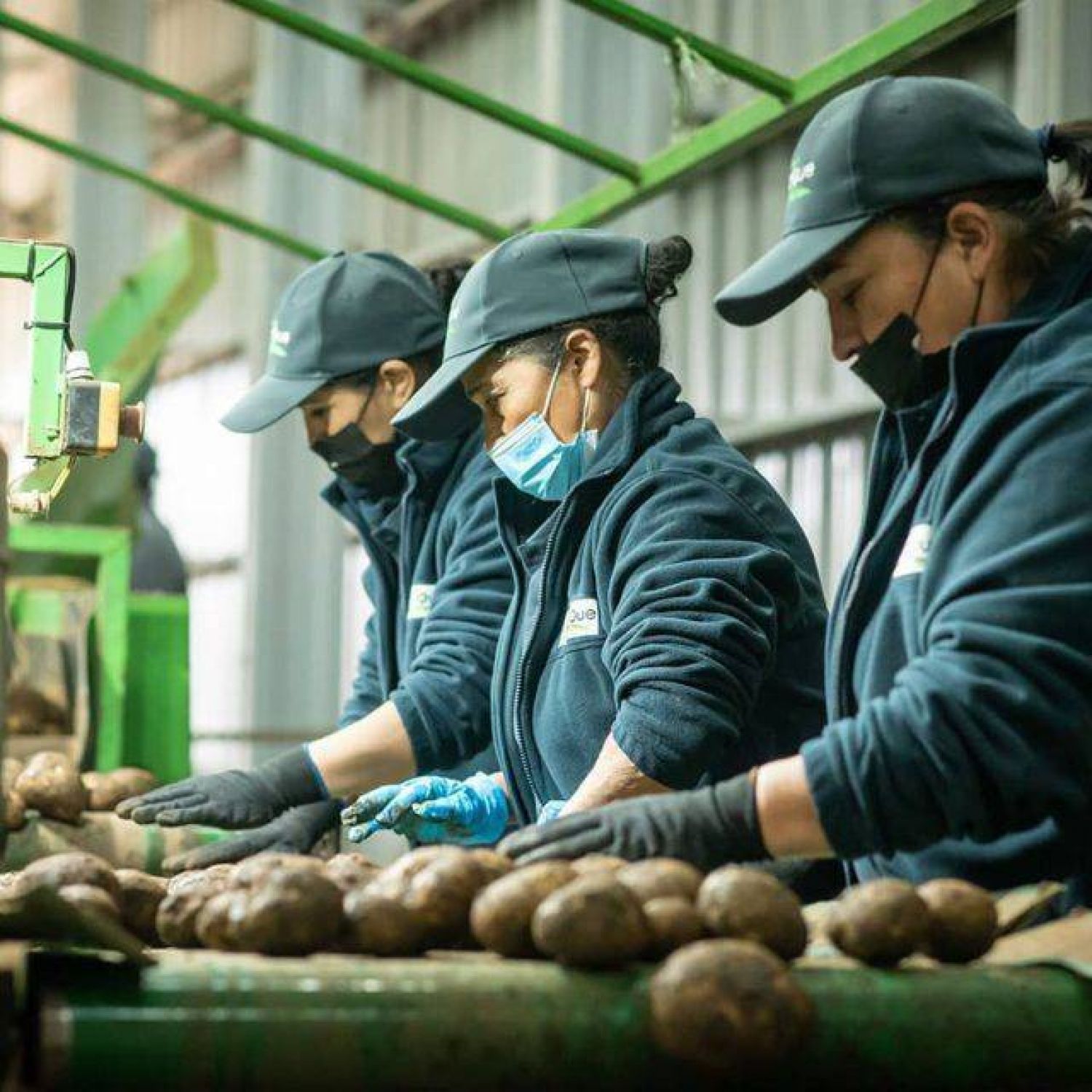 PepsiCo Chile avanza hacia una agricultura sustentable