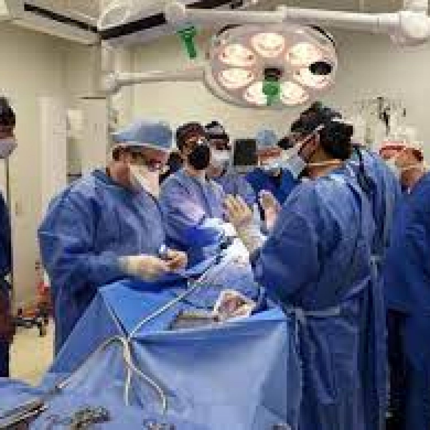 Muhammad Mohiuddin: "Ahora sabemos que un corazón de cerdo puede ...