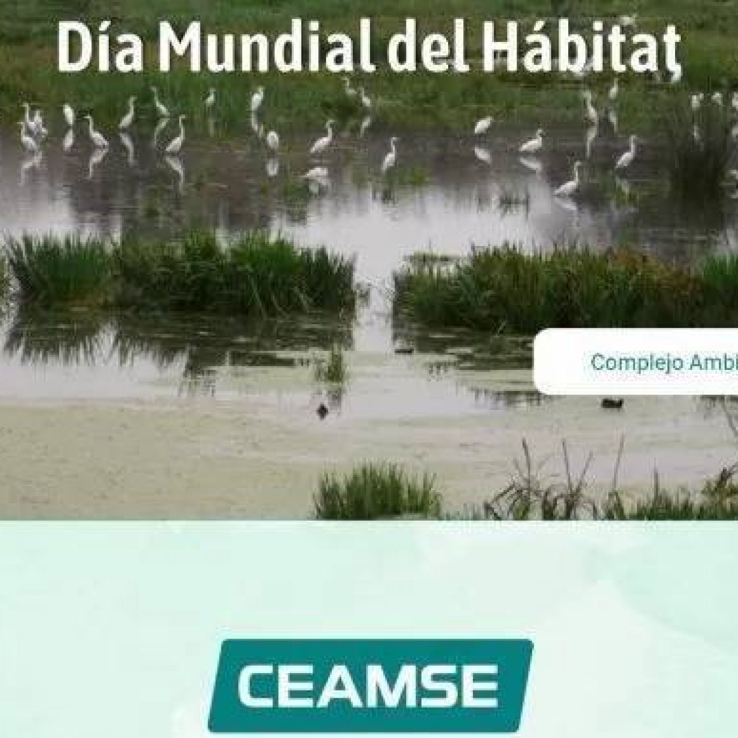 “Trabajamos para crear un ambiente sano”, afirman desde CEAMSE