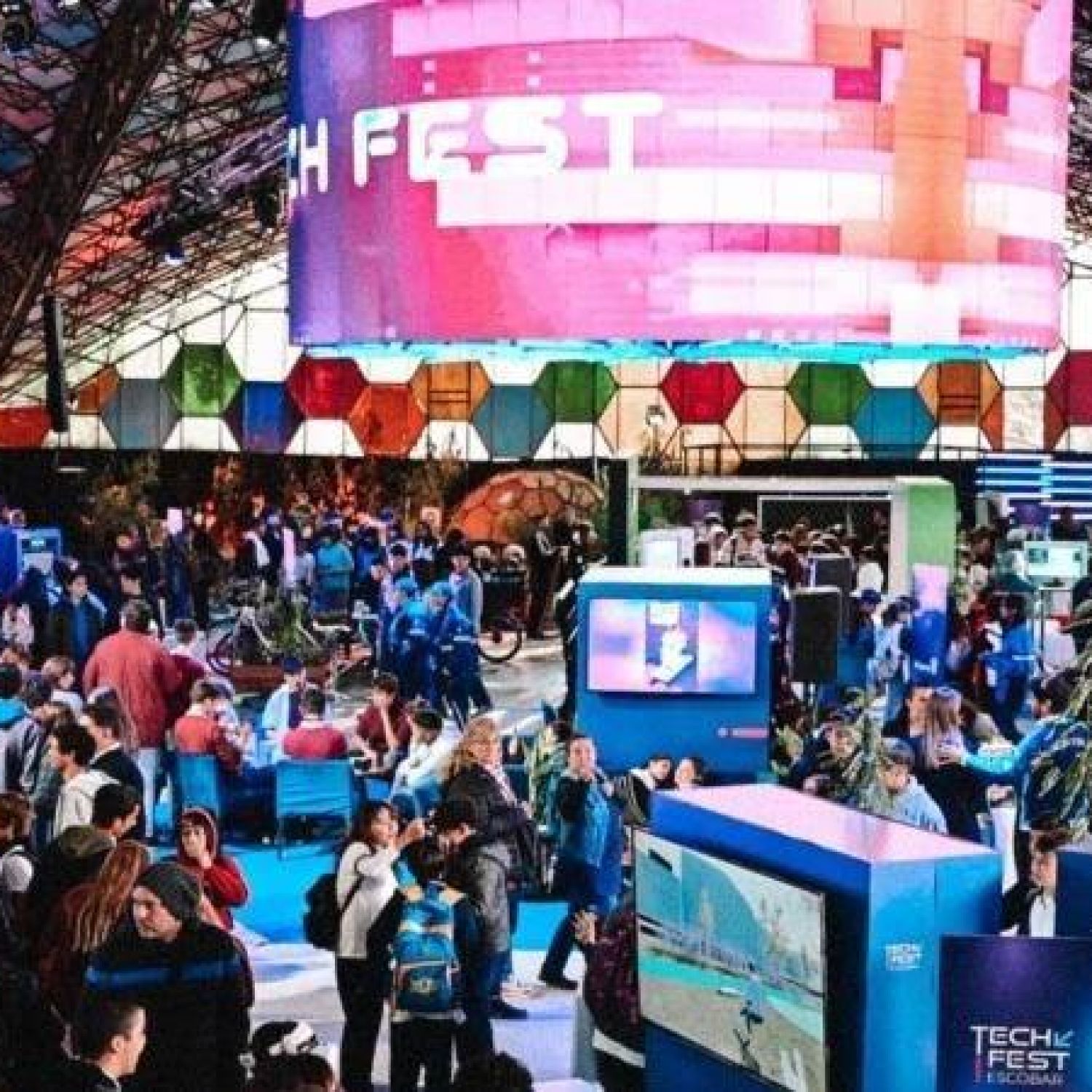 Más de 10 mil personas disfrutaron la TechFest, el evento que consolidó ...