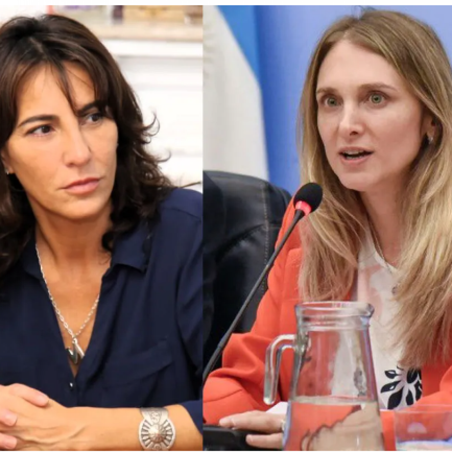 Natalia de la Sota y Brouwer de Koning, el juego de las diferencias