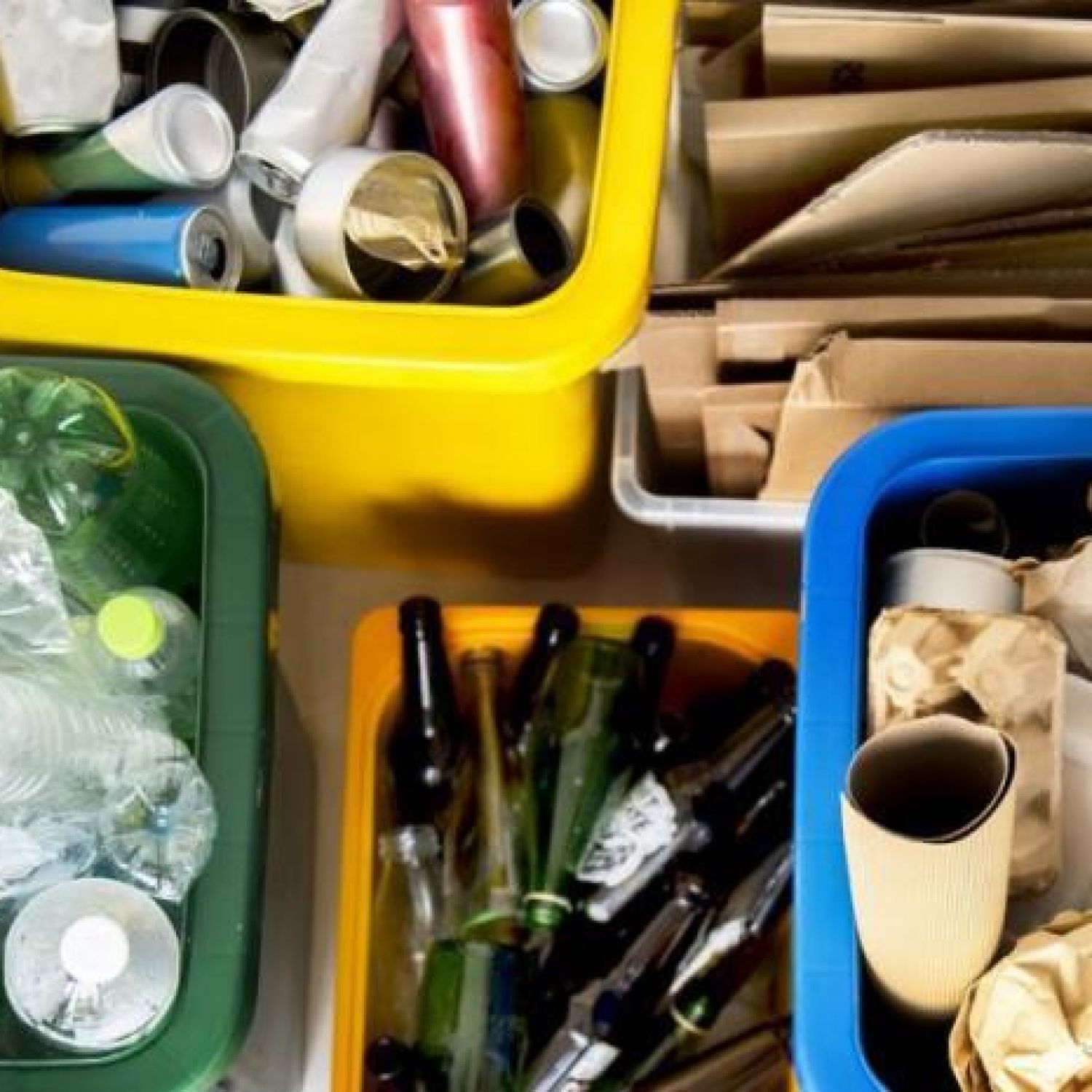 Enterate Cómo Separar Los Residuos En Casa Para Reciclarlos
