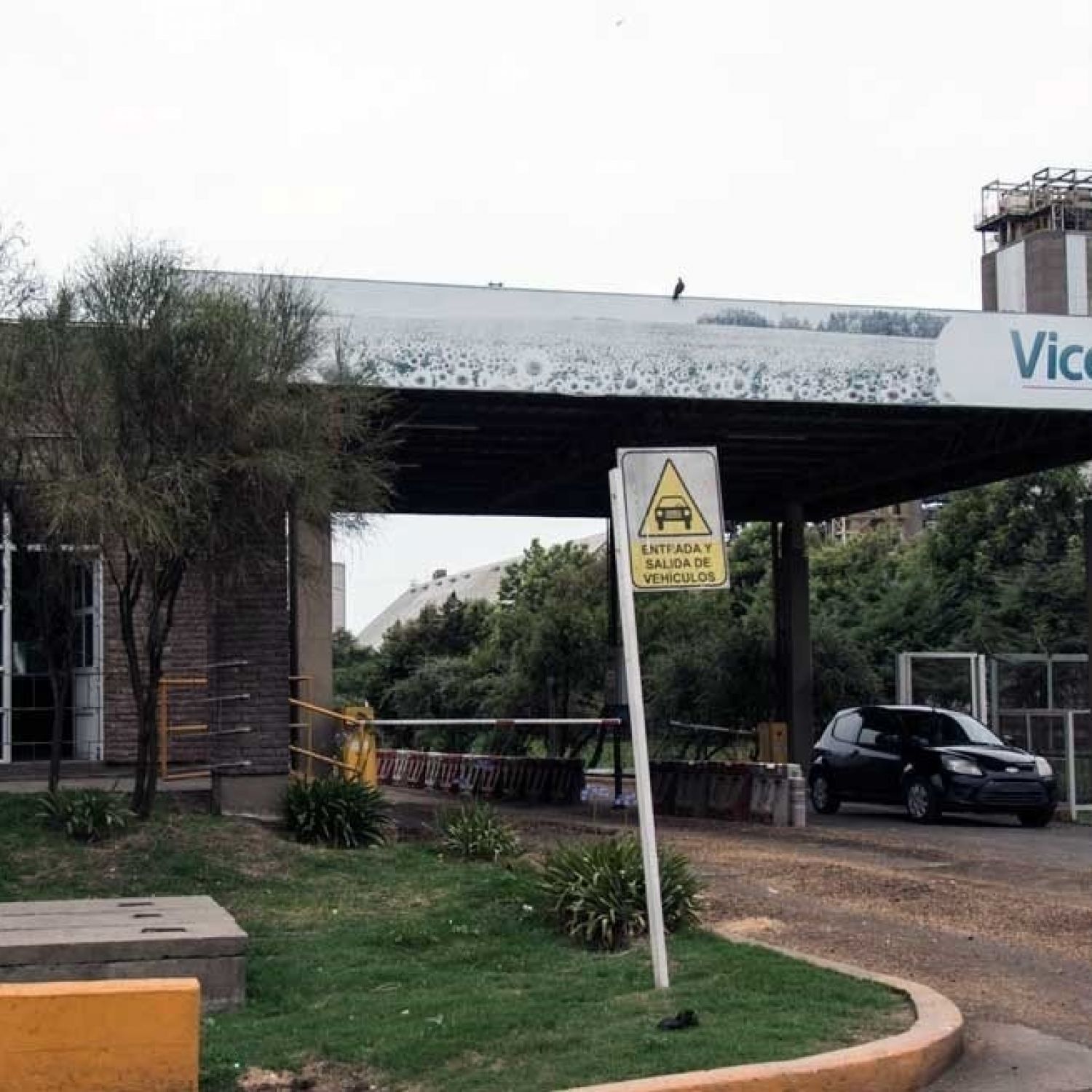 Vicentin estaría cerca de reactivar sus operaciones en las dos plantas ...