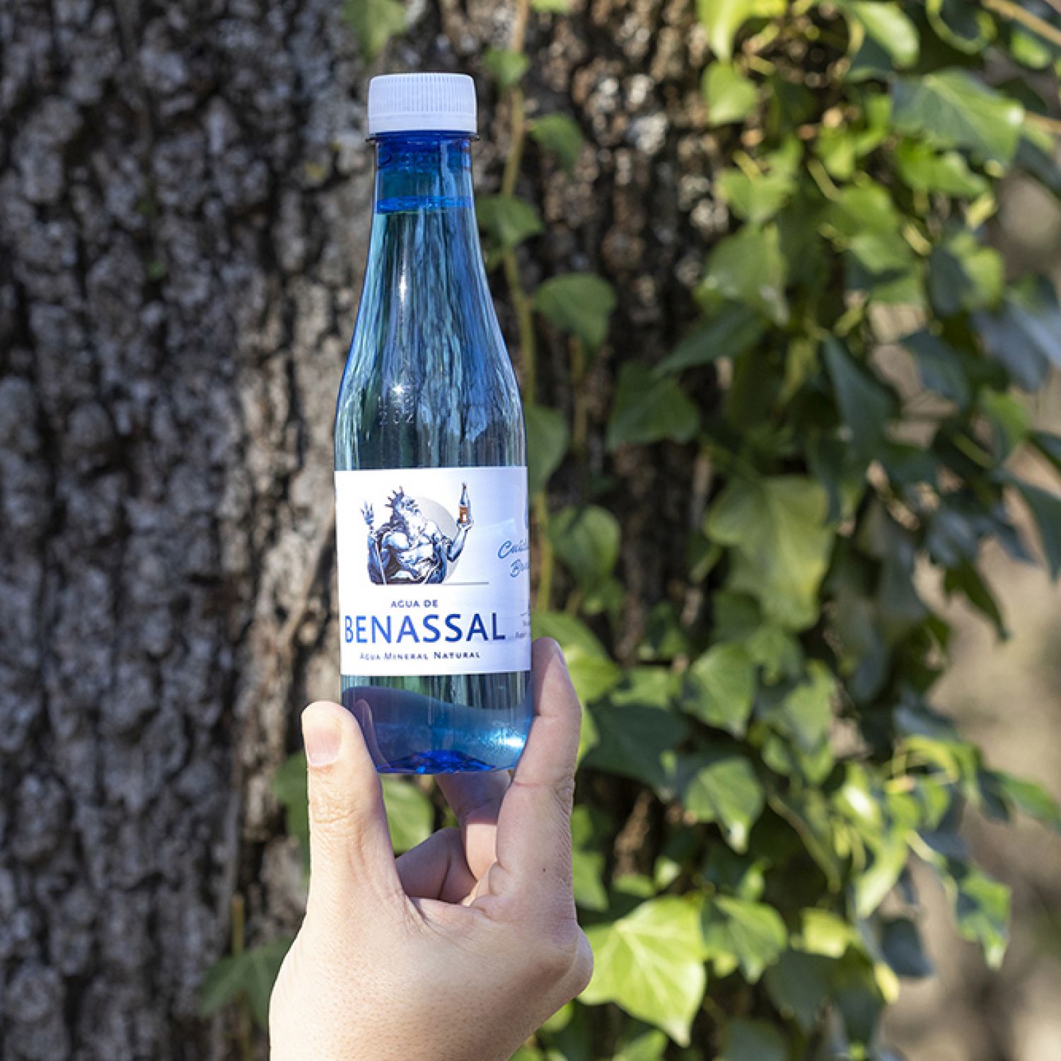 Agua de Benassal, la excelencia de un manantial único