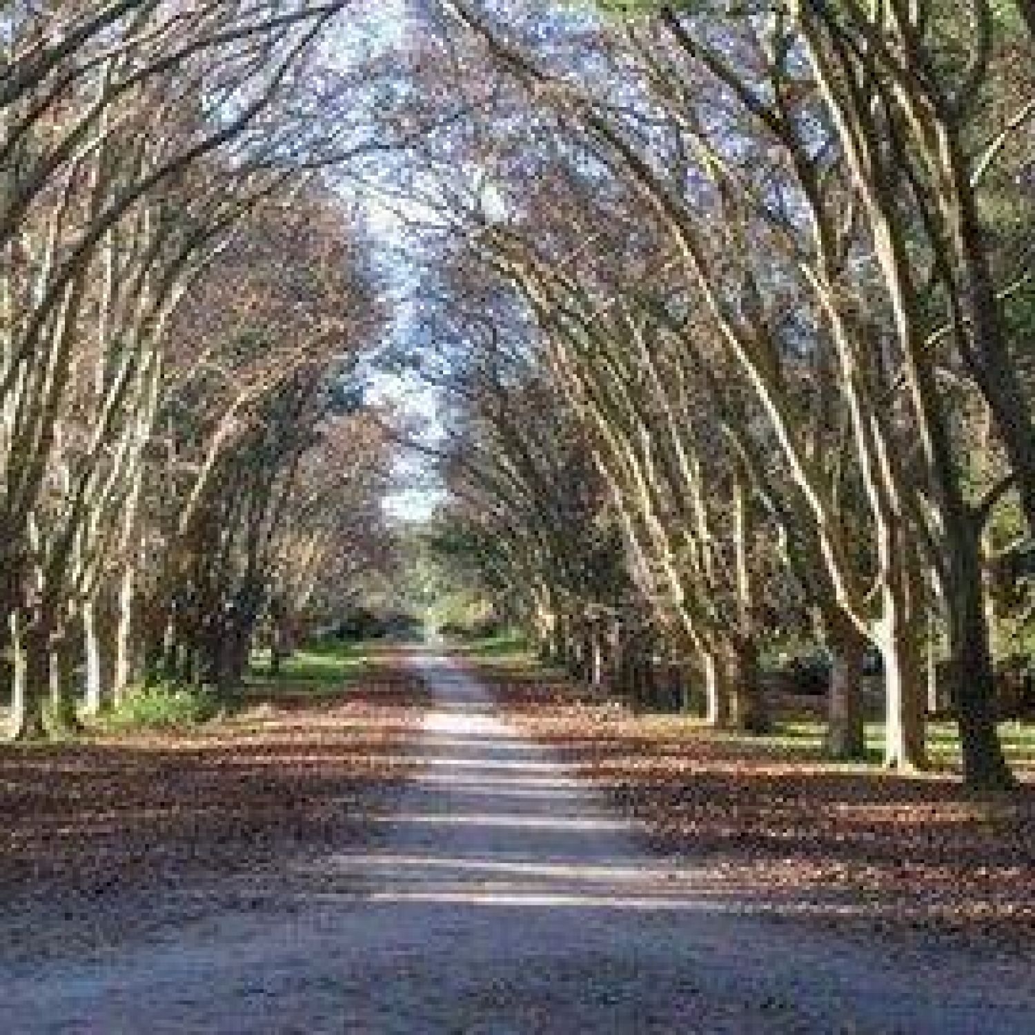Este sábado habrá una movilización por la Reserva del Parque Pereyra