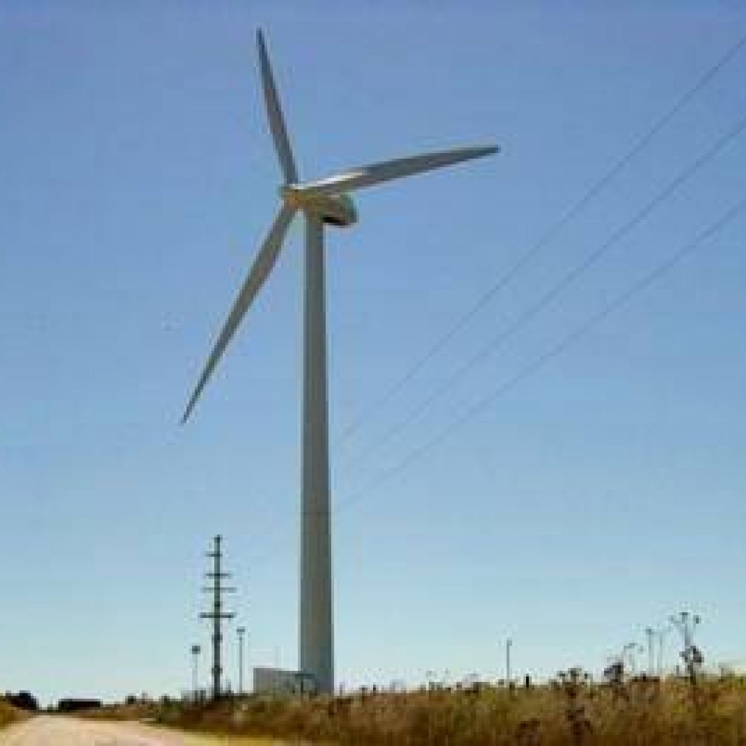 Volvió a funcionar el molino eólico de Claromecó