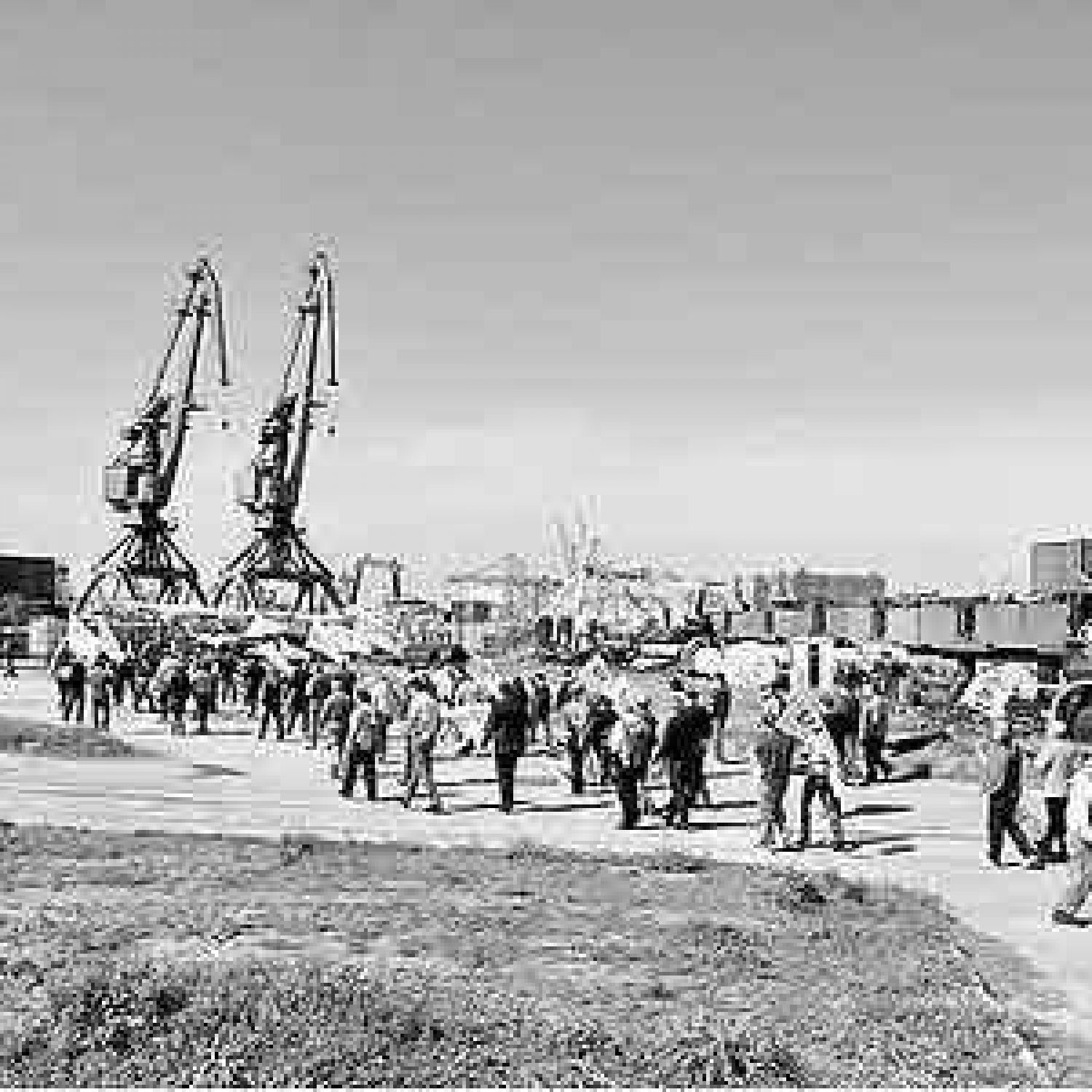 Isla De Marchi: crece el reclamo