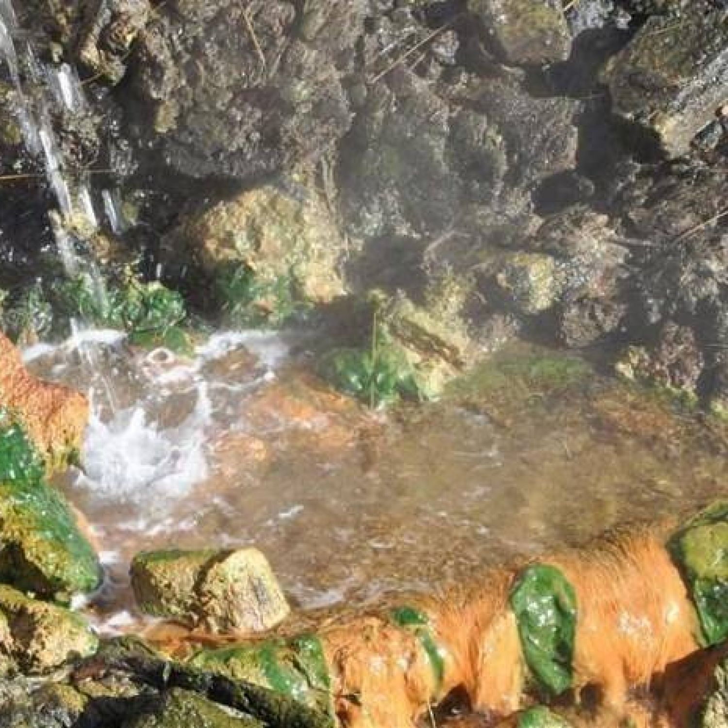 Las Termas ya están entre las 7 maravilla naturales de Salta