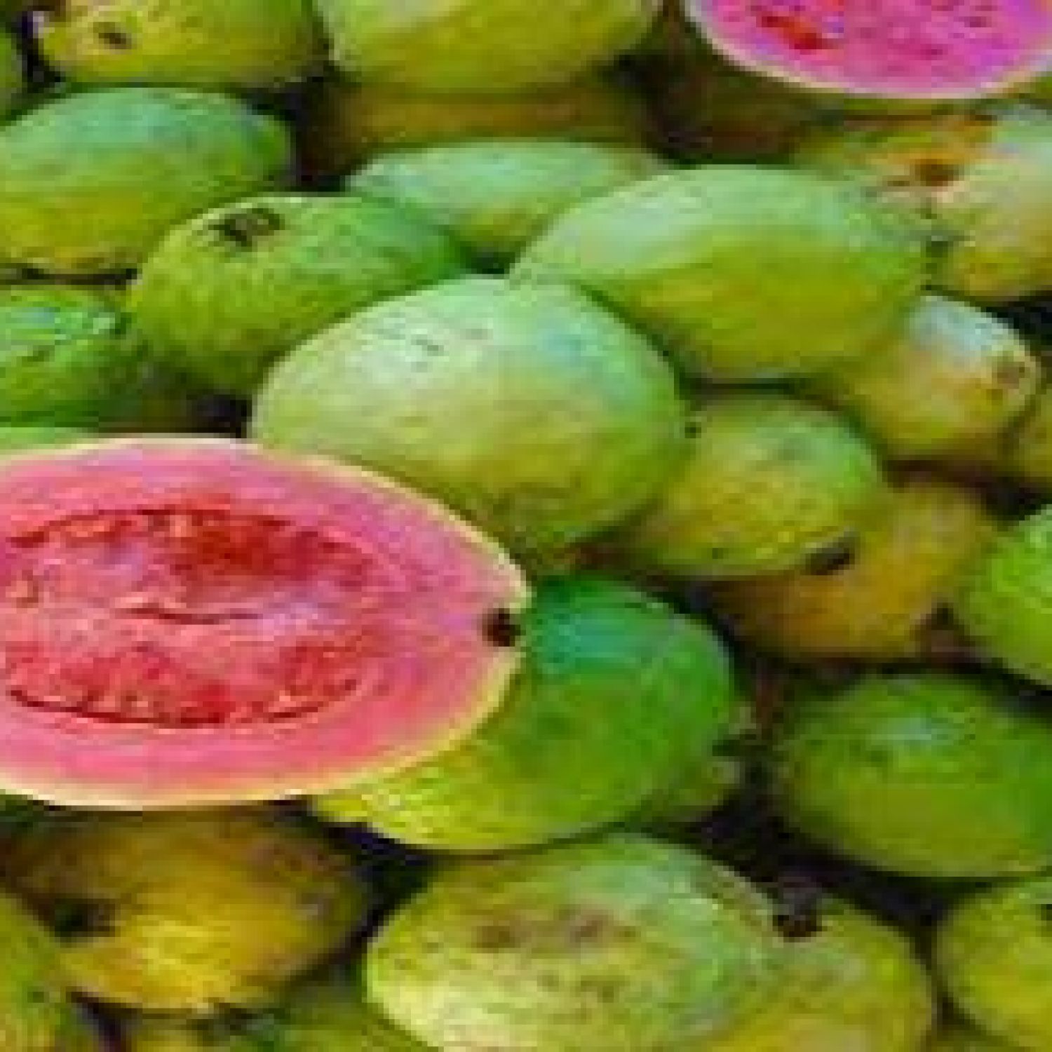 Destacan las bondades de las frutas autóctonas