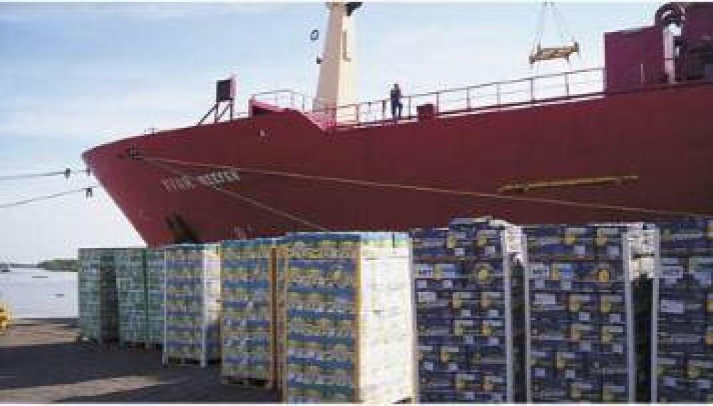 Crece el mercado para los buques frigoríficos