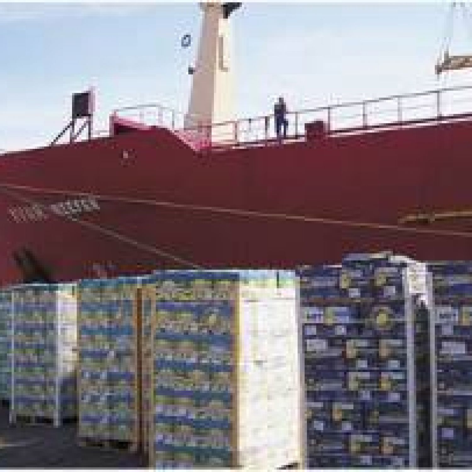 Crece el mercado para los buques frigoríficos