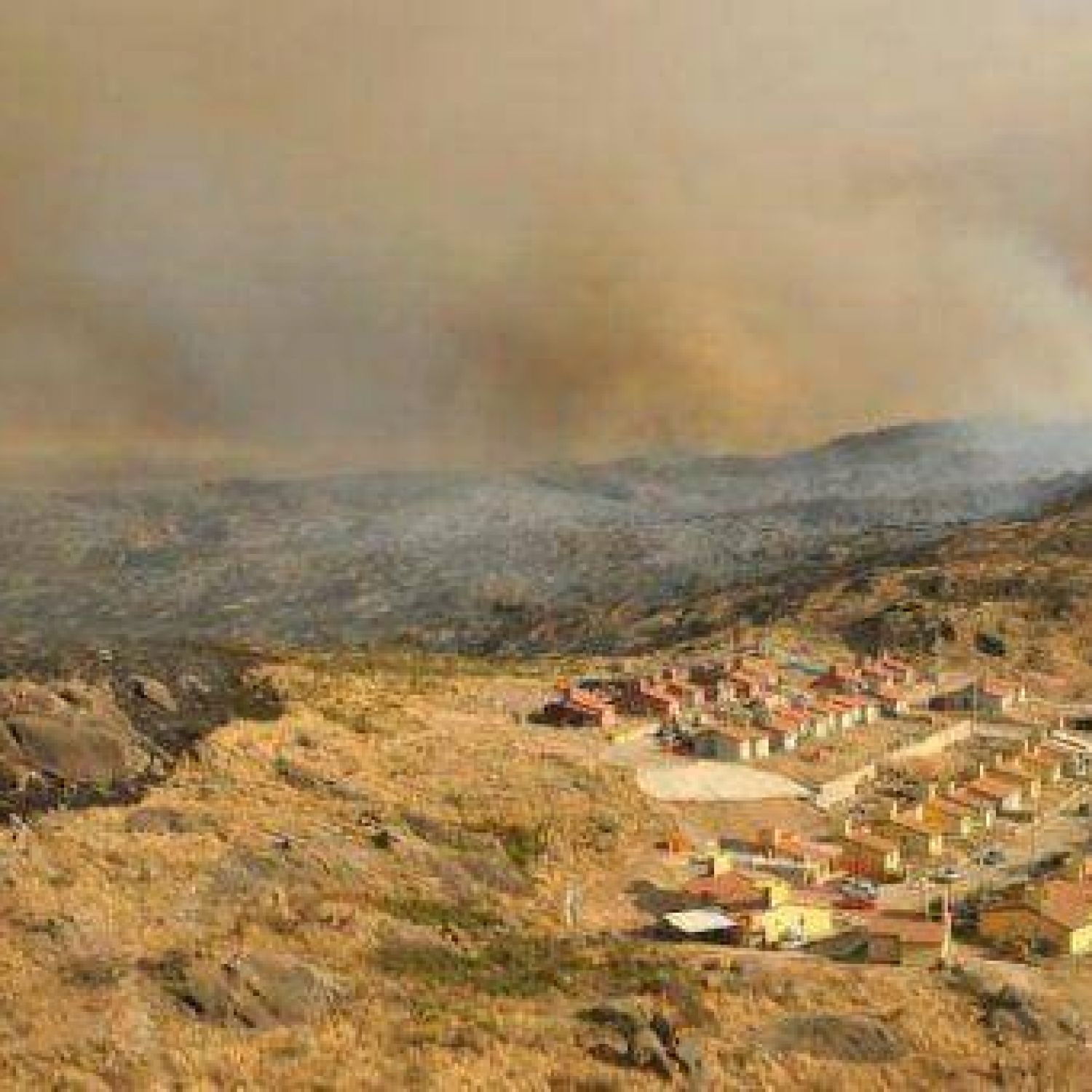 El incendio en Córdoba afectó a 1500 hectáreas de bosque nativo El incendio en Córdoba afectó a 1500 hectáreas de bosque nativo